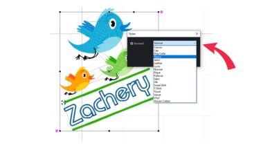 Best Embroidery Digitizing Software: Chroma Inspire, Plus & Luxe ...